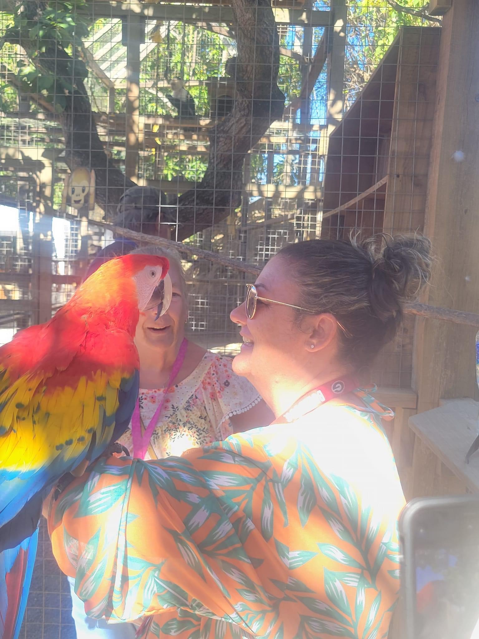 Roatan Southside Reef Snorkel, Monkey / Sloth Park, and Beach Excursion ...