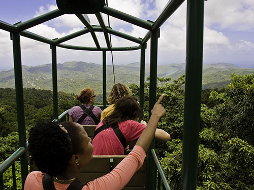 St. Lucia Super Combo Aerial Tram, Trail Hike and Canopy Zip Line ...